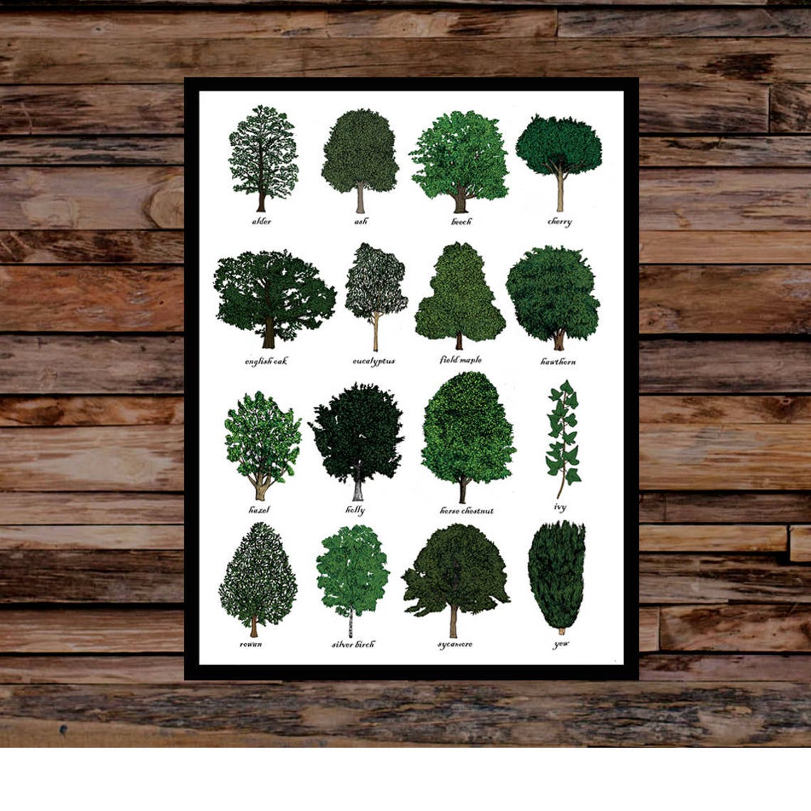 Trees Identification Print - Wall Art Chart - Dendrology Tree Art Print ...