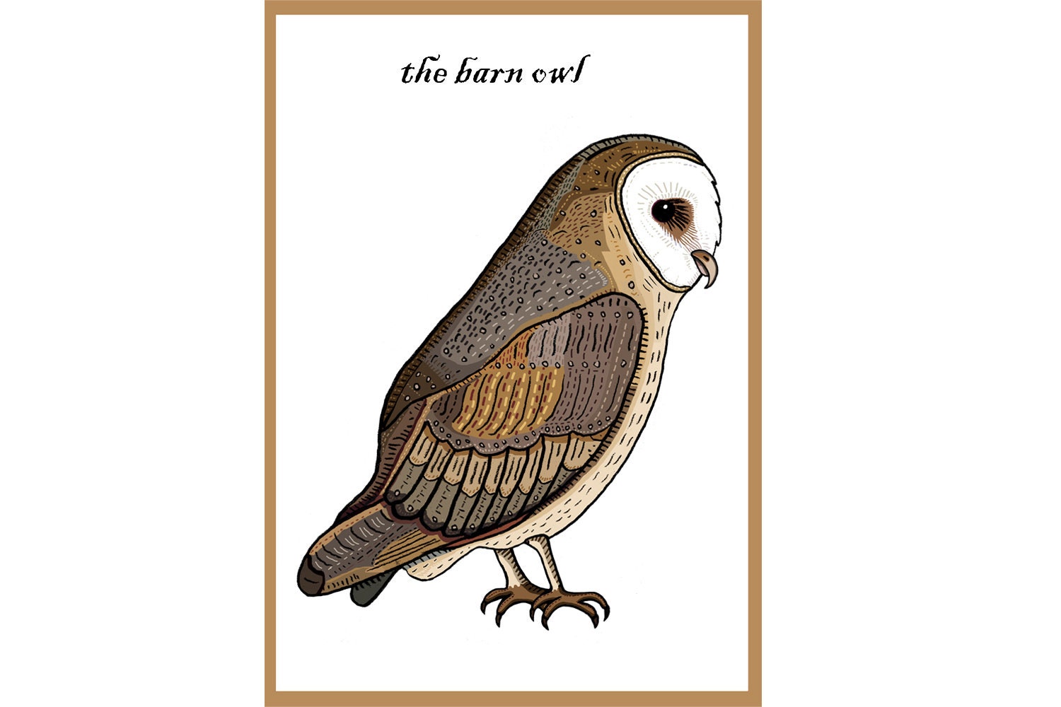 The Barn Owl Greetings Card Bird Art Nature Art Owl Art - Etsy
