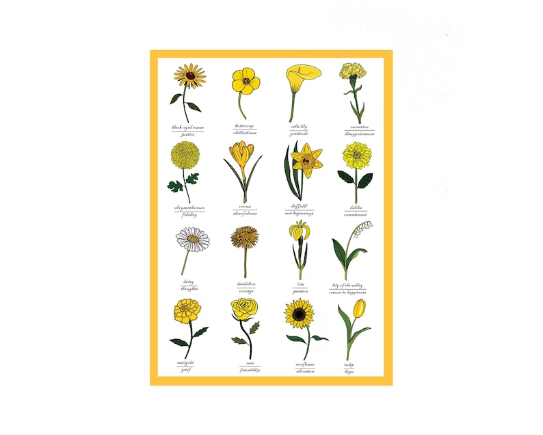 The Language of Yellow Flowers - Identification of Flower - Botanical ...