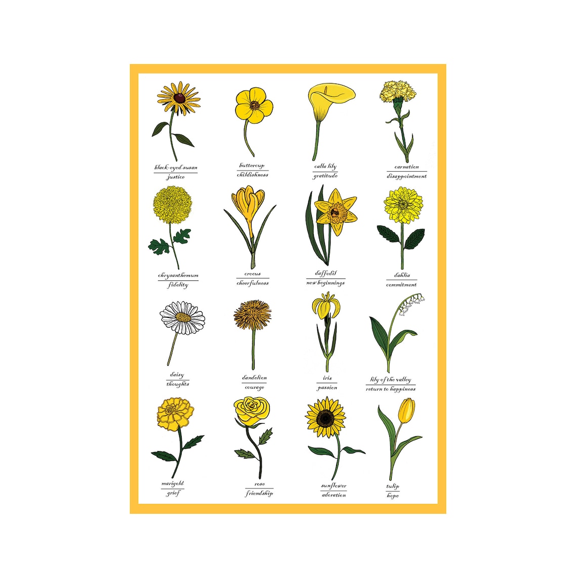 The Language of Yellow Flowers - Identification of Flower - Botanical ...