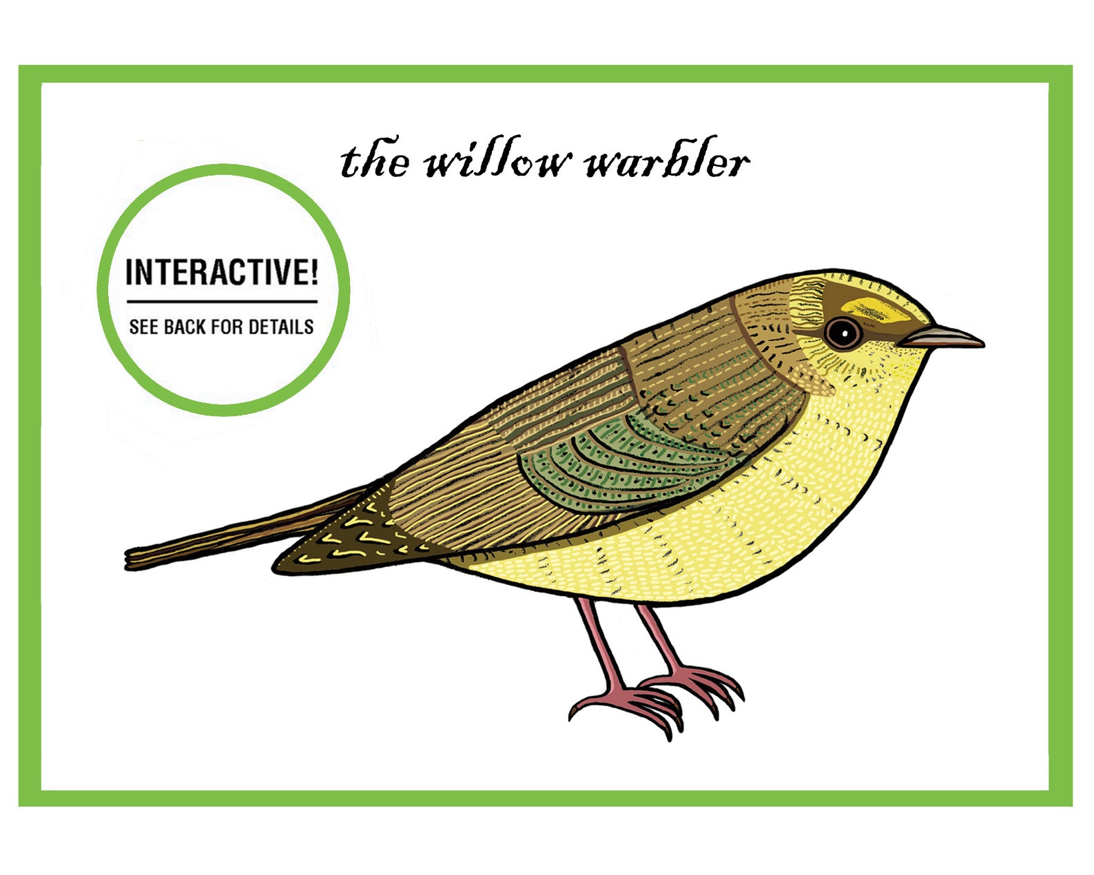 Interactive Willow Warbler Songbird Greetings Card - Garden Bird Card ...