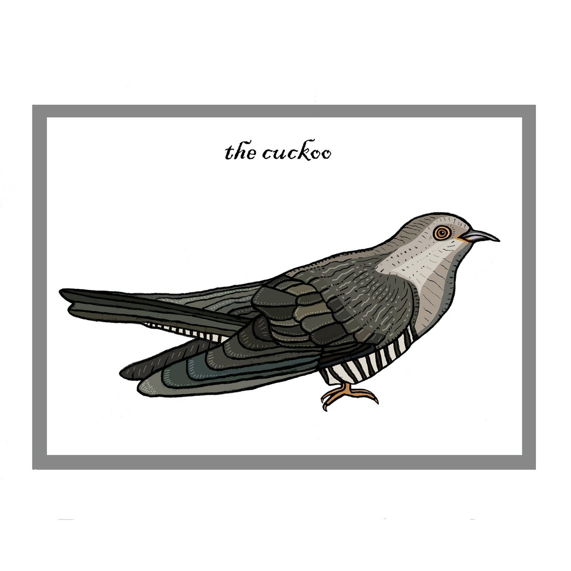 Interactive Cuckoo Songbird Greetings Card - Garden Bird Card - British ...
