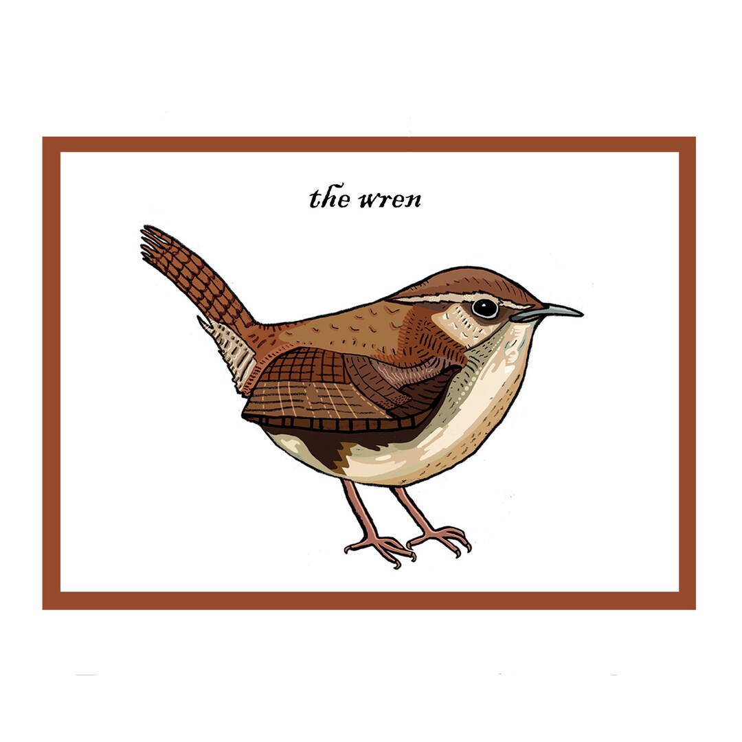Interactive Wren Songbird Greetings Card - Garden Bird Card - British ...
