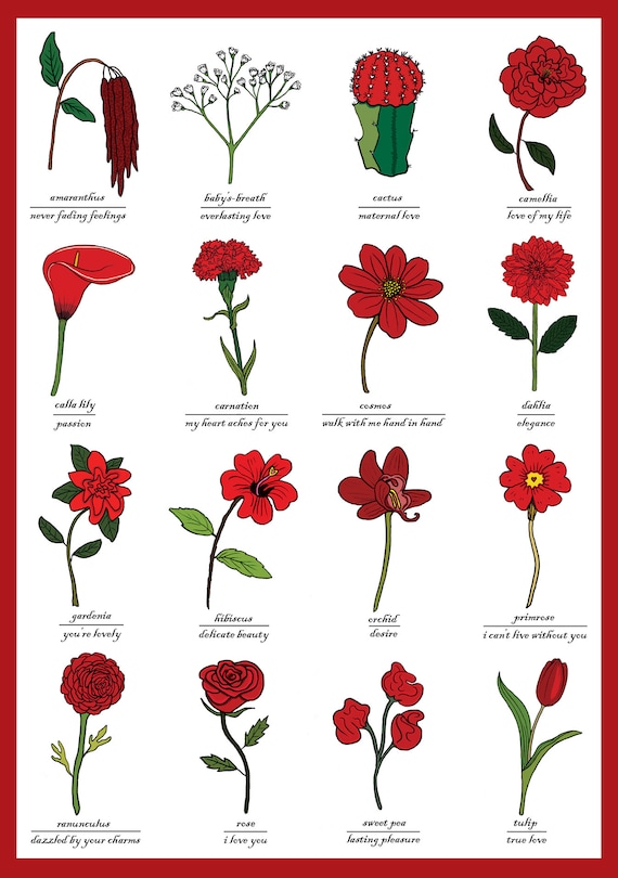 Names Of Red Flowers 65 Most Gorgeous Red Flowers: Complete List With