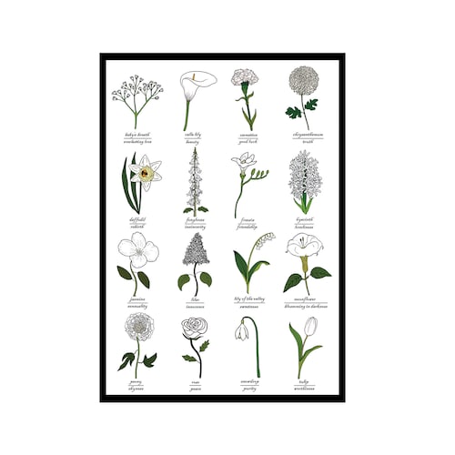 The Language of Yellow Flowers Identification of Flower - Etsy