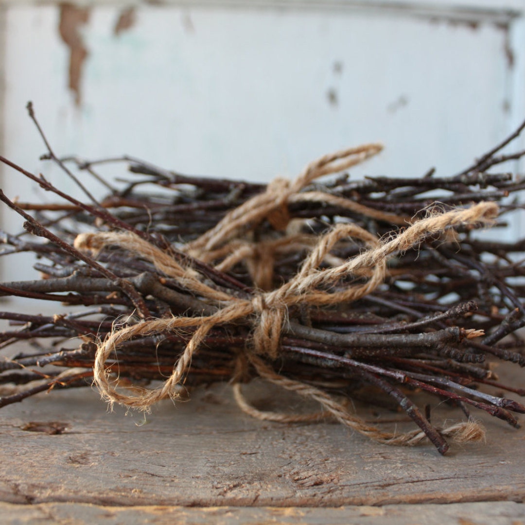 Twig Bundles, Birch Twigs, Natural Sticks, Floral Arranging, Rustic ...