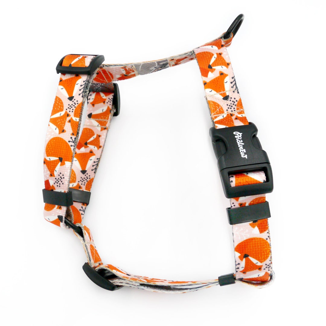Harness for Dog, Foxy Lady 2,5 Cm, 0.98" Tape Width, Guard Harness, for ...