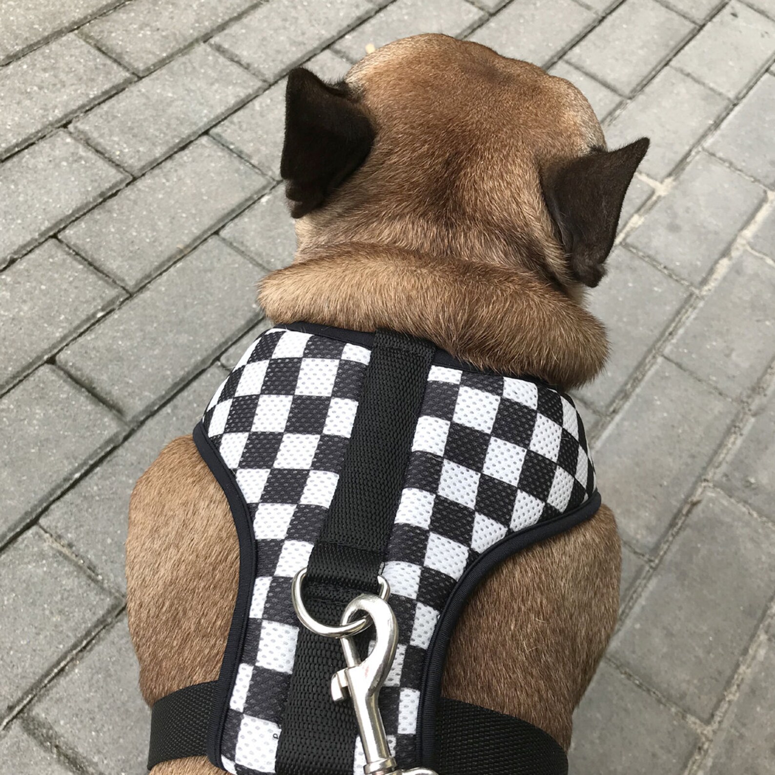 Dog Harness Air-mesh Harnesses Always Feeling Cool Super | Etsy