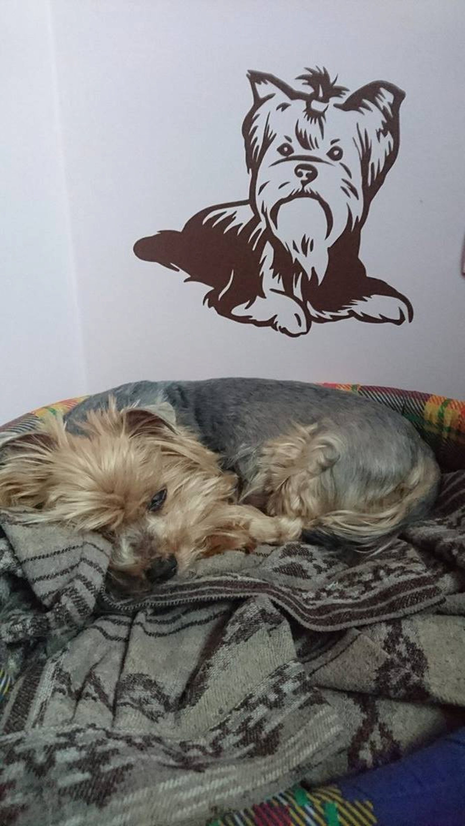 Yorkie Yorkshire Terrier Dog Decal Recumbent Yorkie Vinyl | Etsy