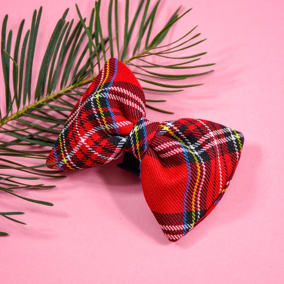 Bow tie collar accessory store