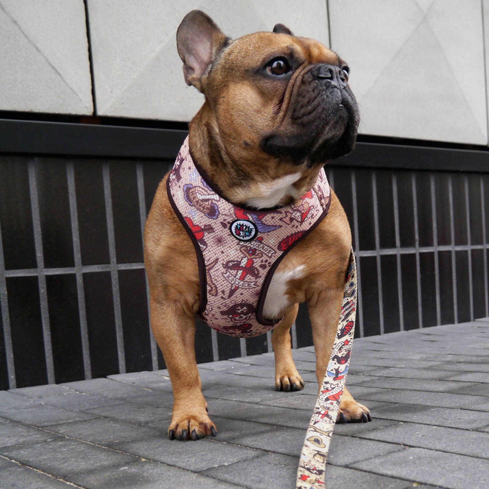 Dog Tattoo Flash Dog Mesh Harness Always Feeling Cool Super - Etsy