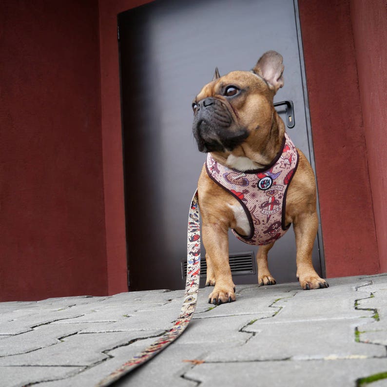 Dog Tattoo Flash Dog Mesh Harness Always Feeling Cool Super | Etsy