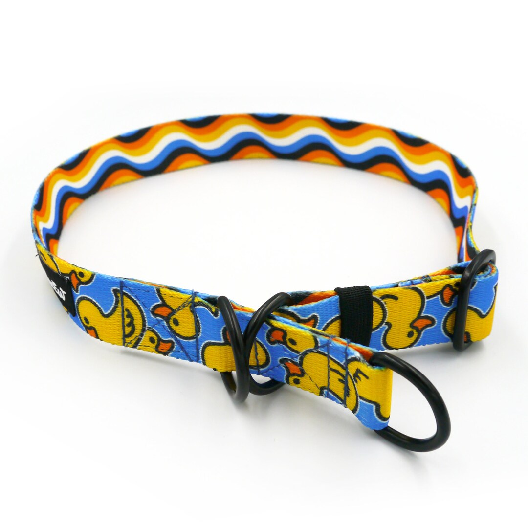 Ducky Duck Dog Collar: Half-choke, Adjustable, for Medium and Big Dogs ...