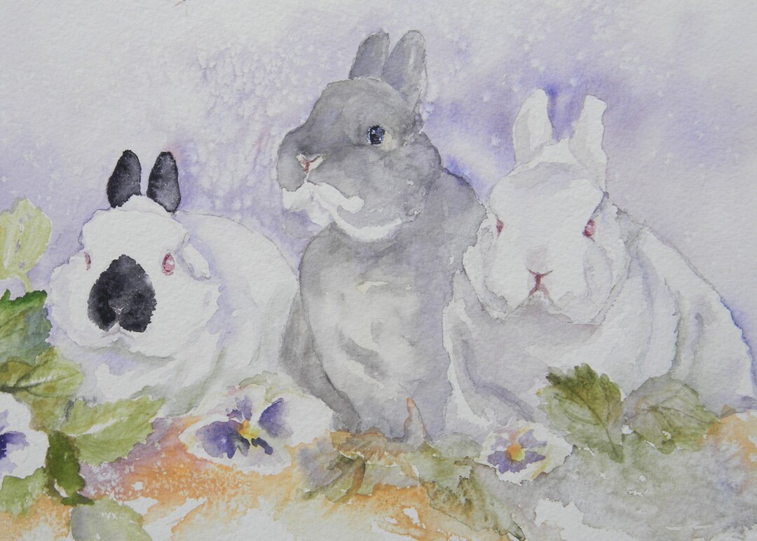 Brothers- Netherland Dwarf Rabbit Digital Reproduction Print of ...