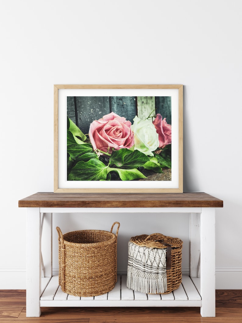 Blush Pink Rose Photo Print, Shabby Chic Roses, Floral Wall Art, Fine ...