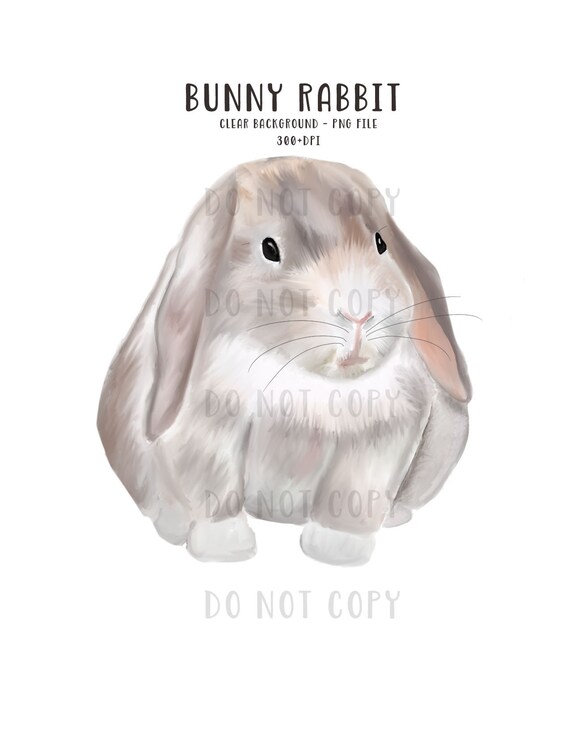 Cute Baby Bunnies With Floppy Ears Wallpaper