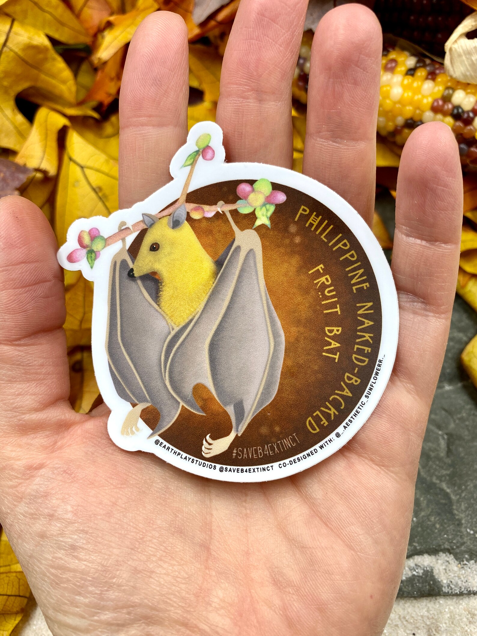 Philippine Naked-back Fruit Bat Sticker / Animal Conservation - Etsy