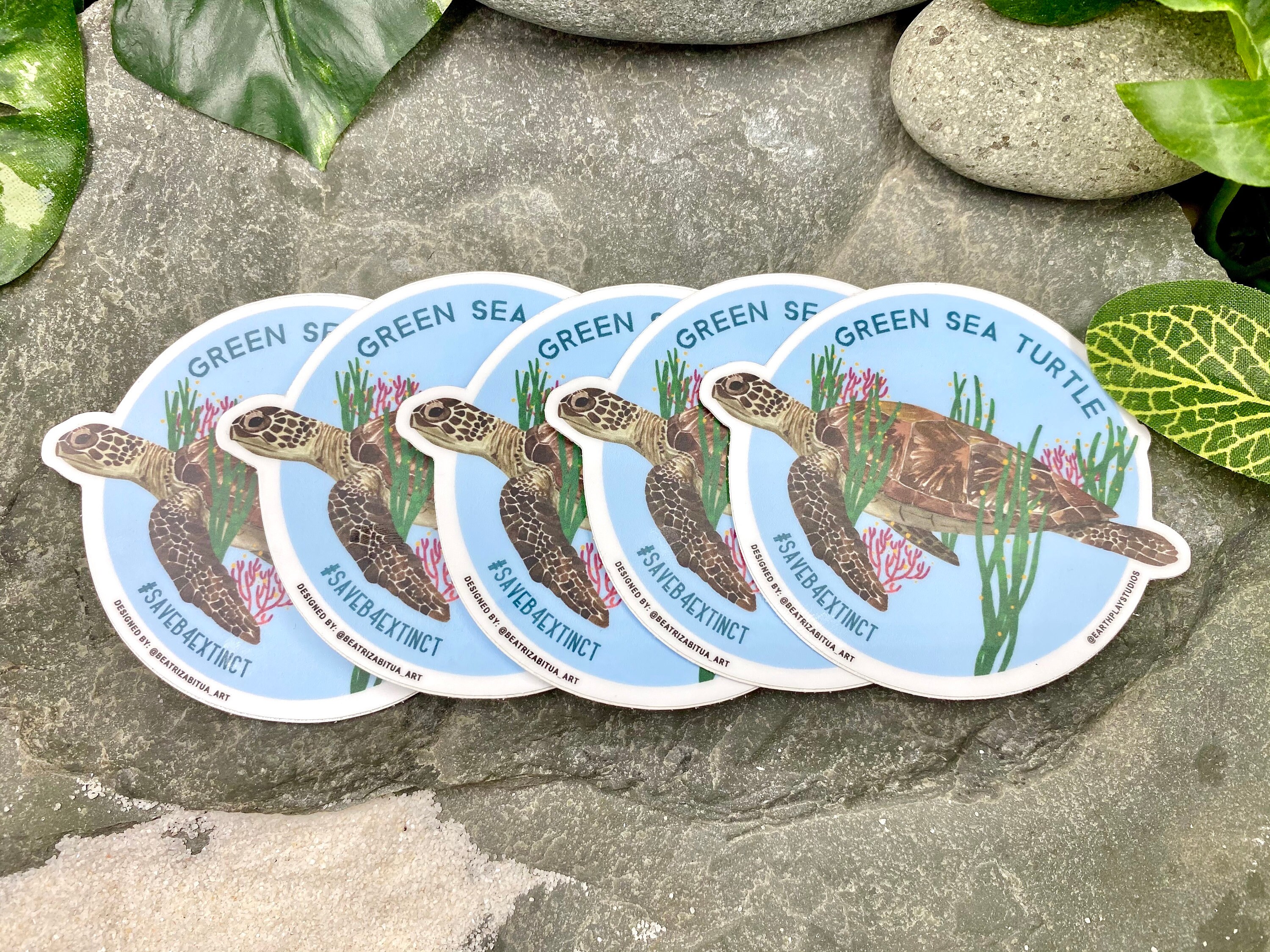 Green Sea Turtle Sticker / Sea Turtle / Animal Conservation - Etsy