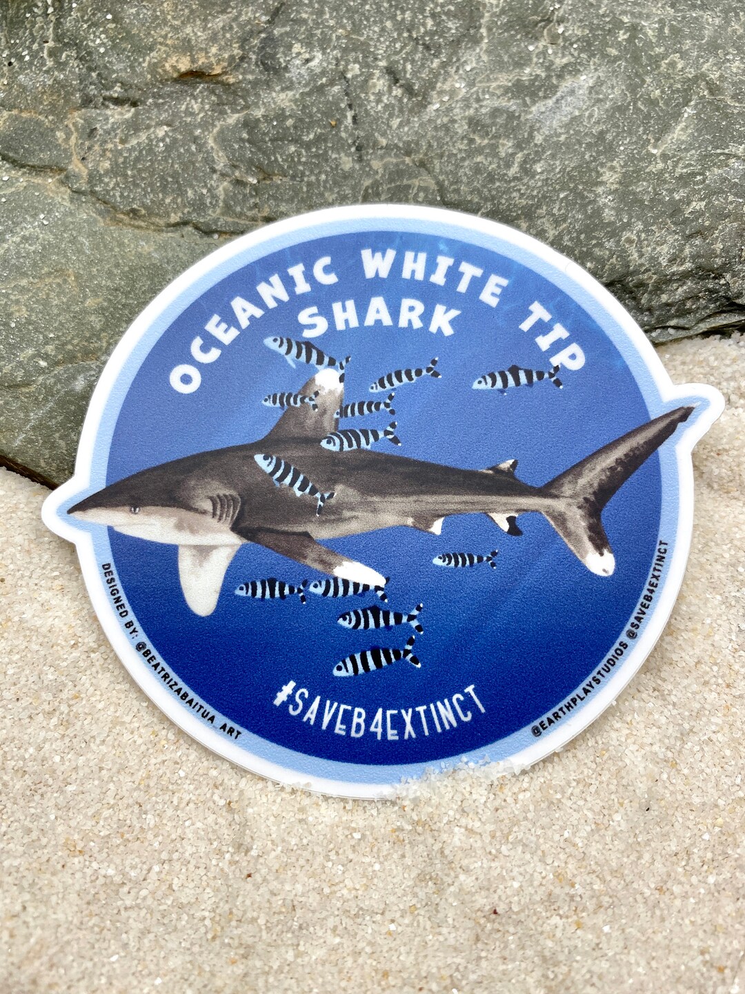 Oceanic White Tip Hai Sticker / Animal Conservation Sticker / Save the ...