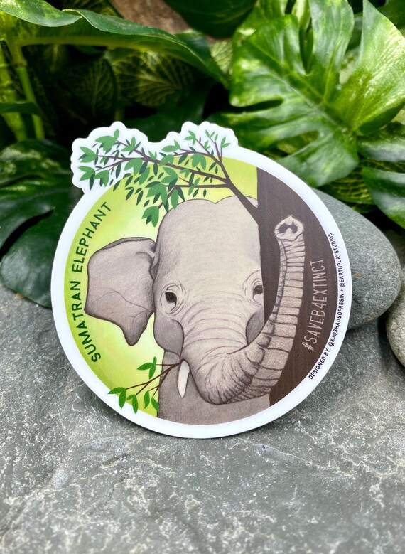 Sumatran Elephant Drawing