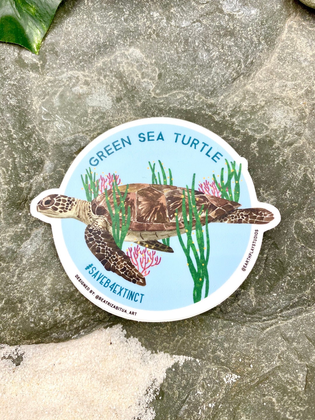 Green Sea Turtle Sticker / Sea Turtle / Animal Conservation Sticker ...