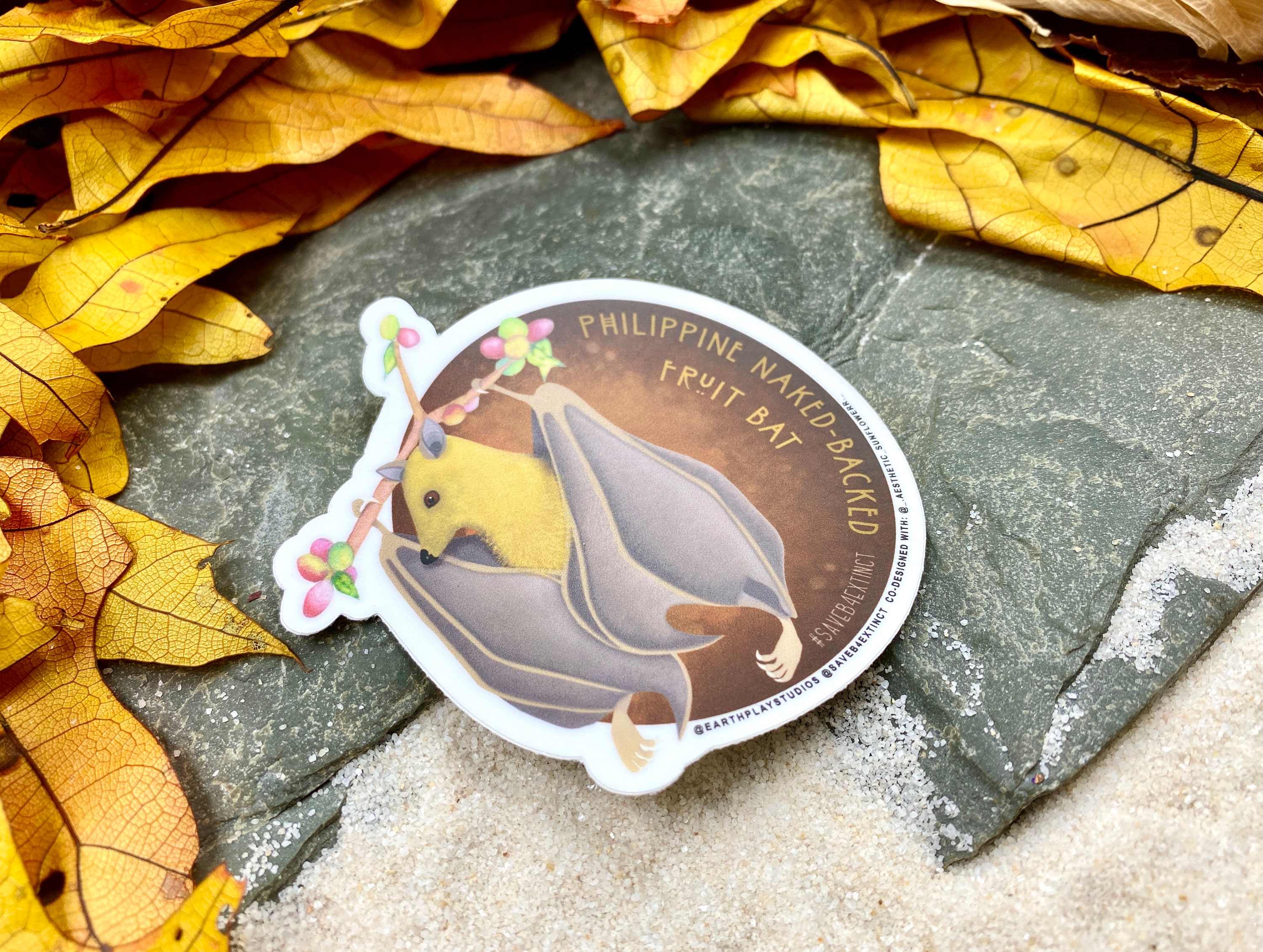 Philippine Naked-back Fruit Bat Sticker / Animal Conservation - Etsy Canada