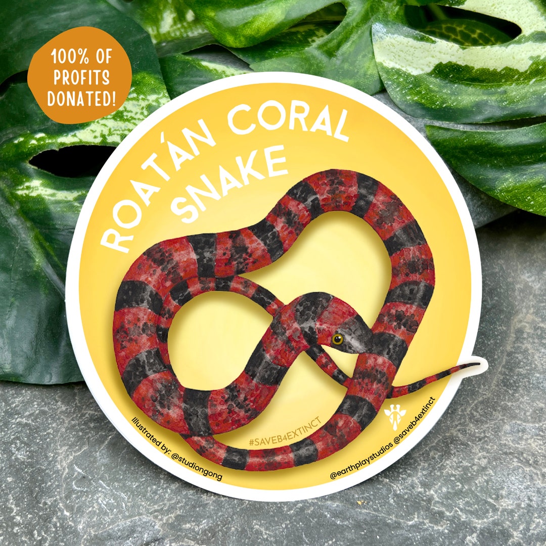 Roatan Coral Snake Sticker / Animal Conservation Sticker / Save the ...