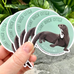 Giant River Otter Animal Conservation Sticker / Save the Giant River ...
