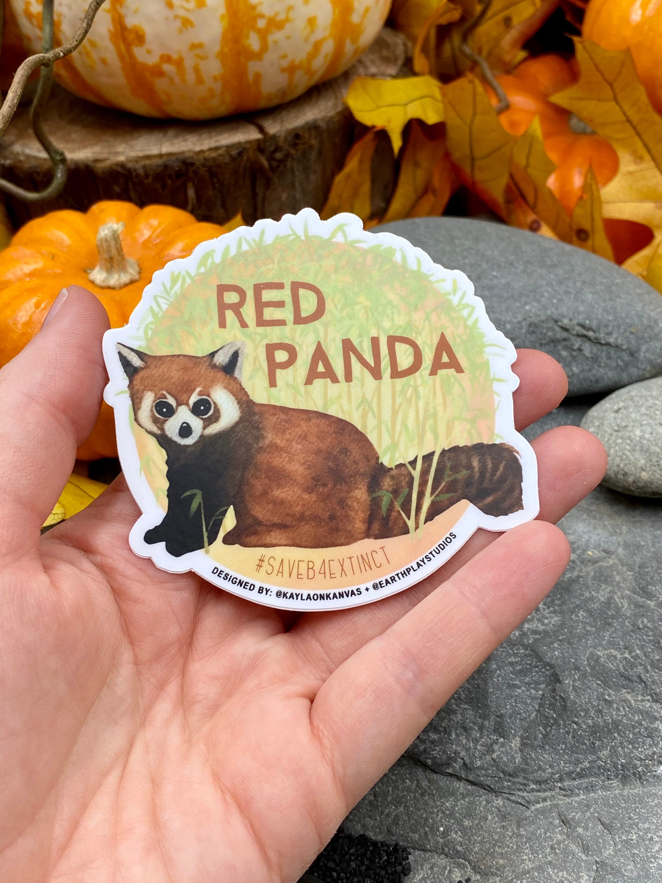 Red Panda Sticker / Animal Conservation Sticker / Save the Red | Etsy