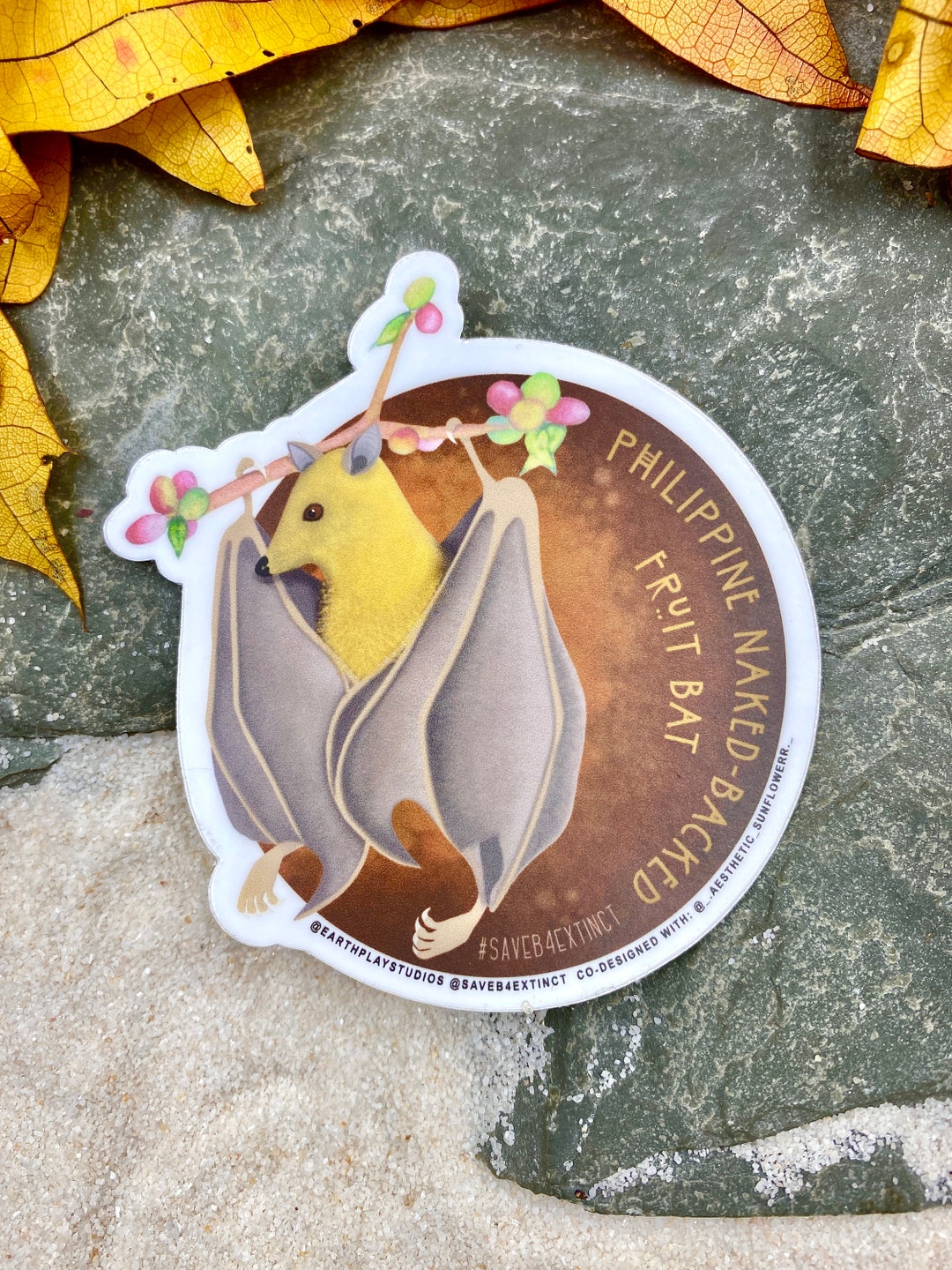 Philippine Naked-back Fruit Bat Sticker / Animal Conservation Sticker ...