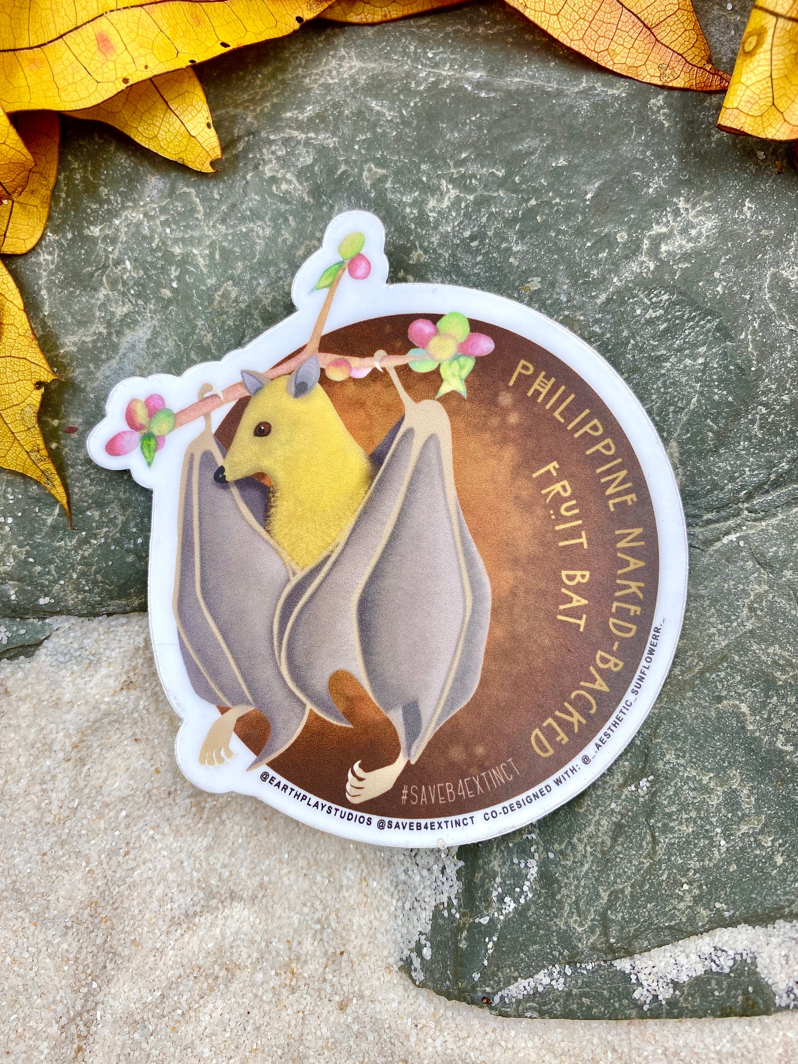 Philippine Naked-back Fruit Bat Sticker / Animal Conservation - Etsy