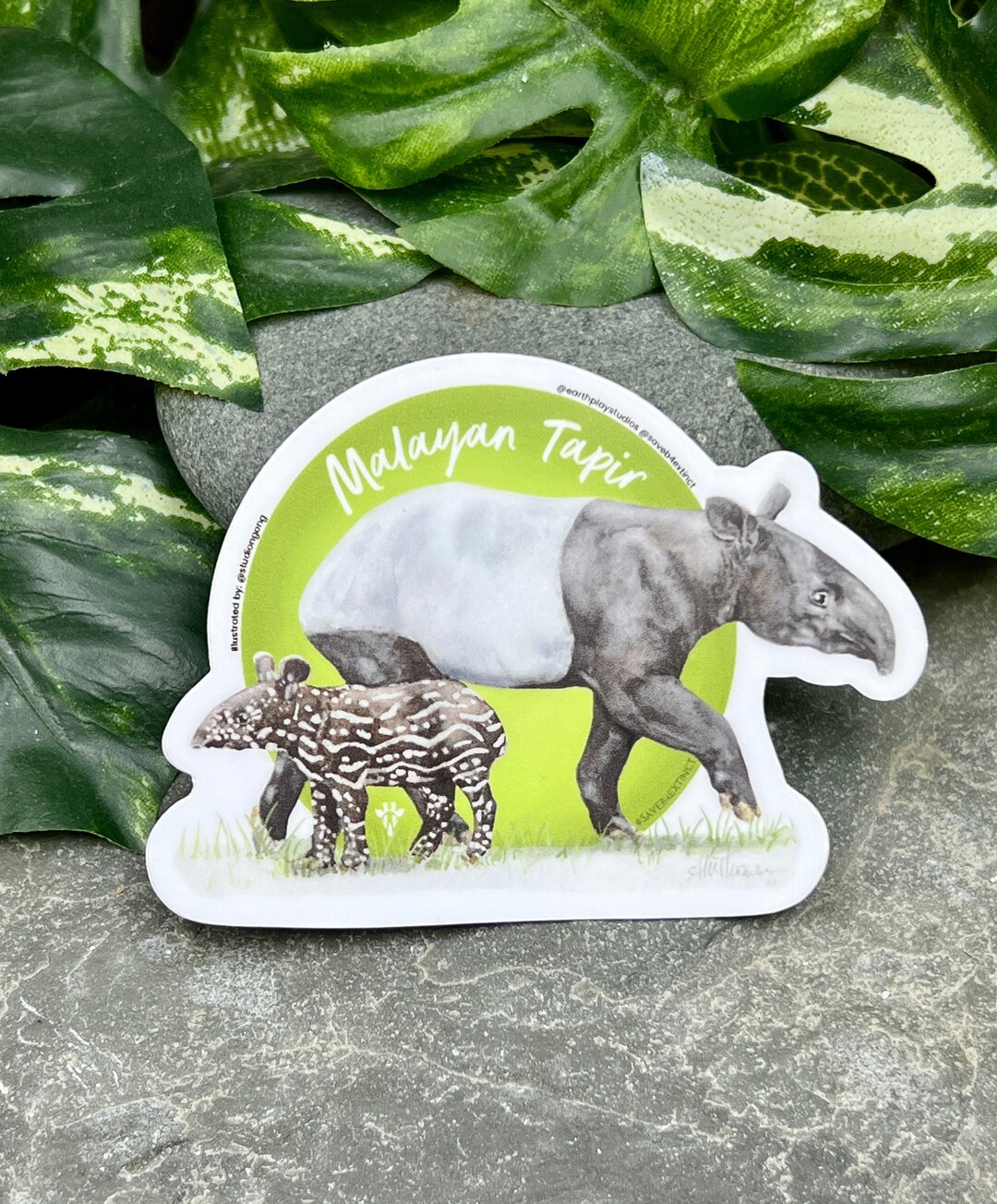 Malayan Tapir Sticker / Animal Conservation Sticker / Save the Malayan ...