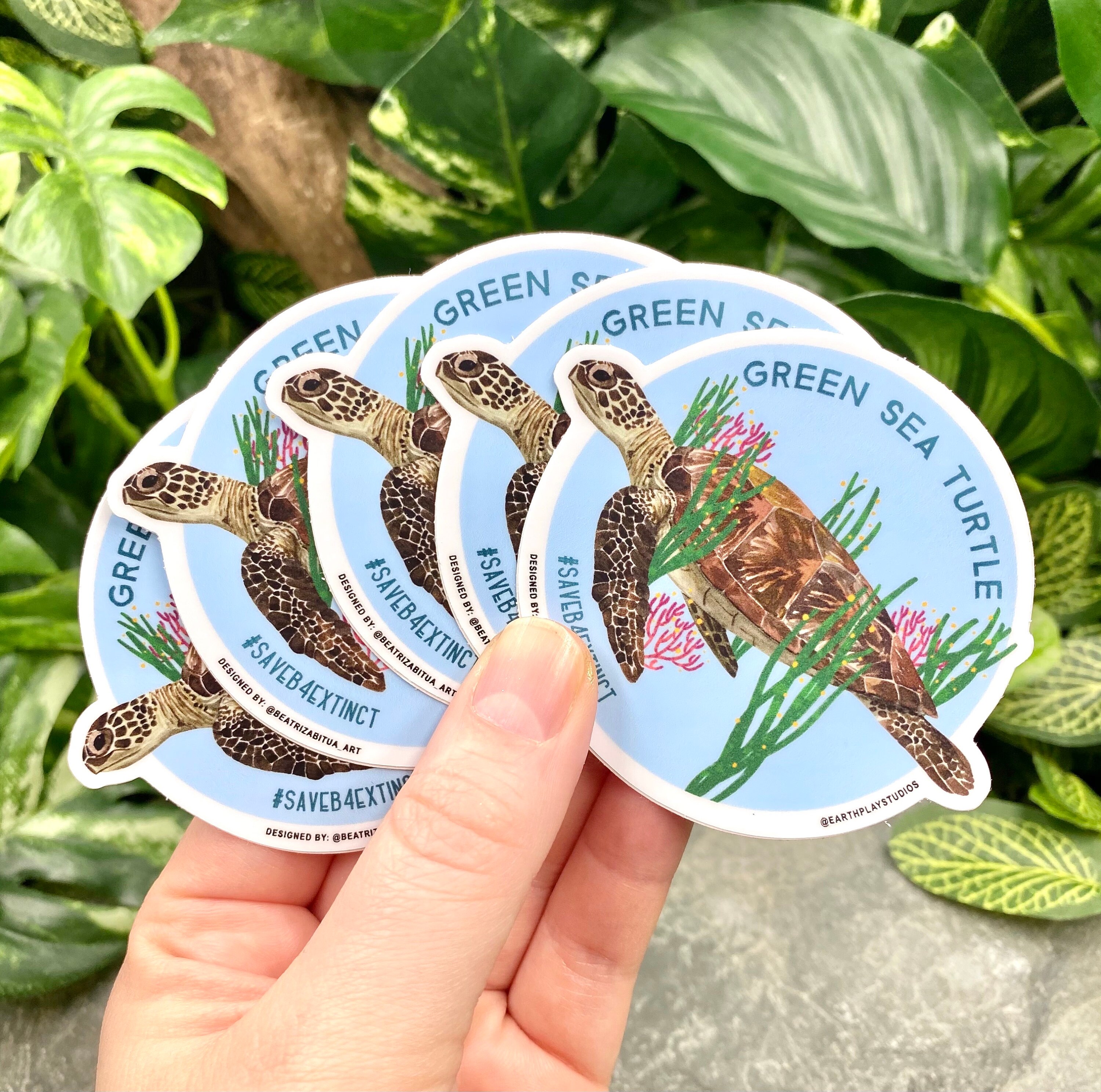 Green Sea Turtle Sticker / Sea Turtle / Animal Conservation - Etsy