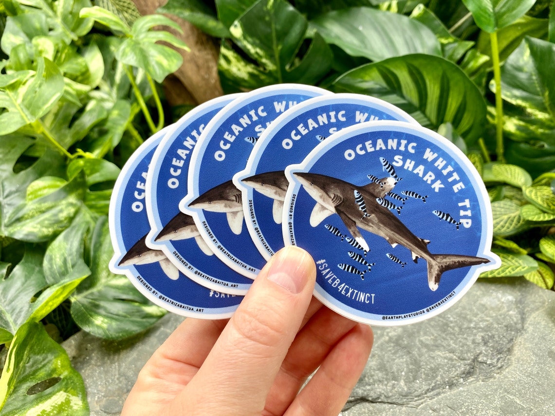Oceanic White Tip Hai Sticker / Animal Conservation Sticker / - Etsy.de