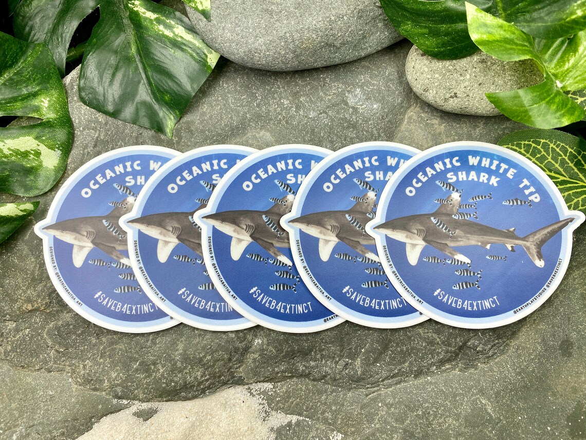 Oceanic White Tip Hai Sticker / Animal Conservation Sticker / | Etsy