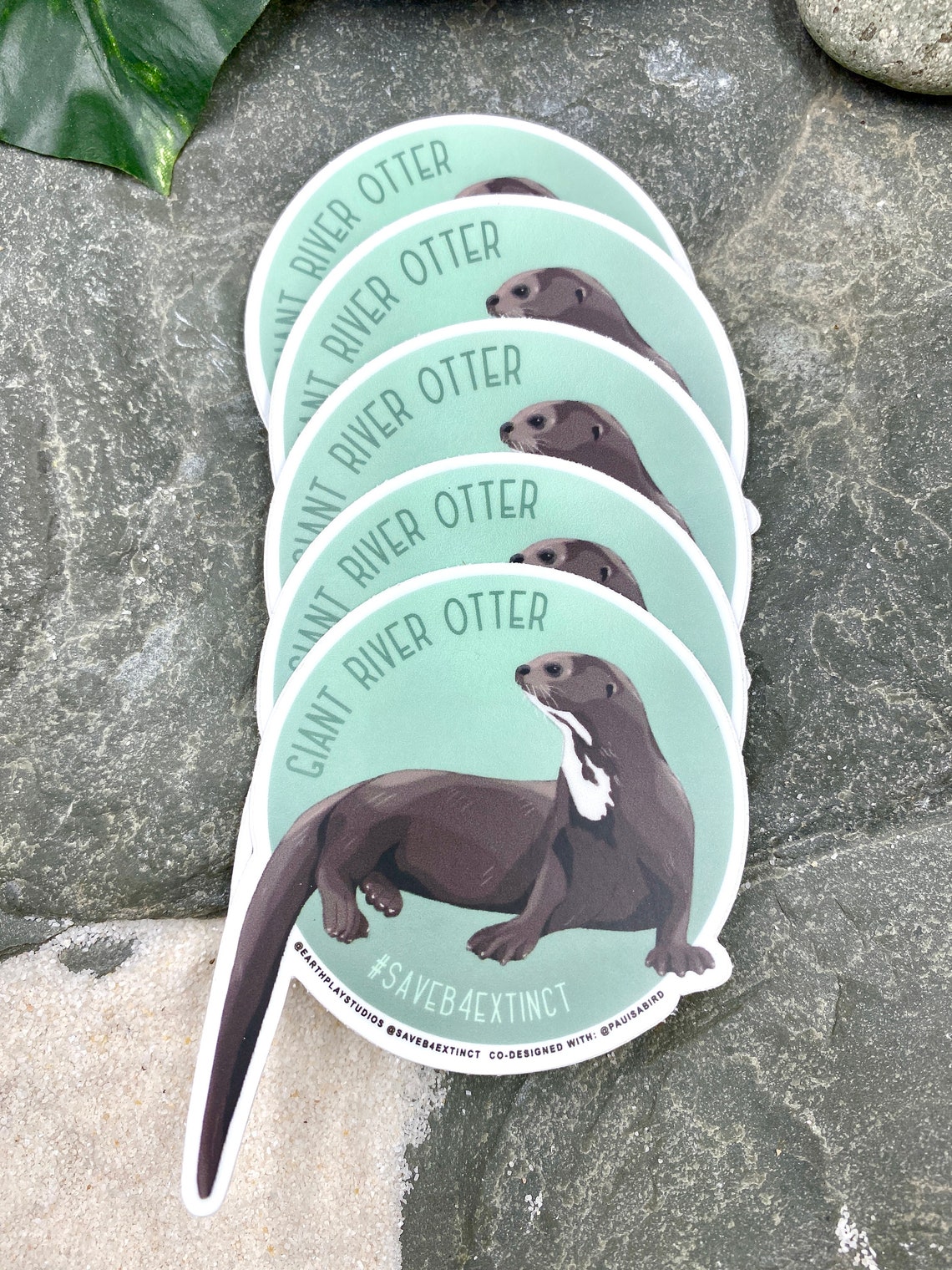 Giant River Otter Animal Conservation Sticker / Save the Giant - Etsy