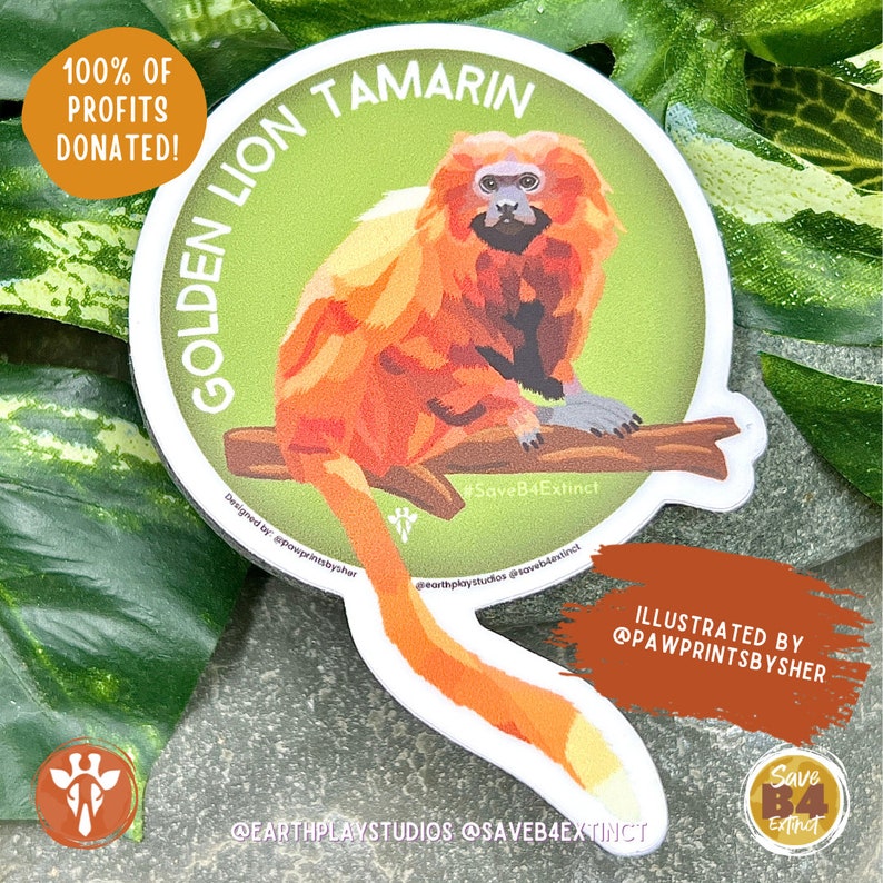 Golden Lion Tamarin Sticker / Animal Conservation Sticker / - Etsy