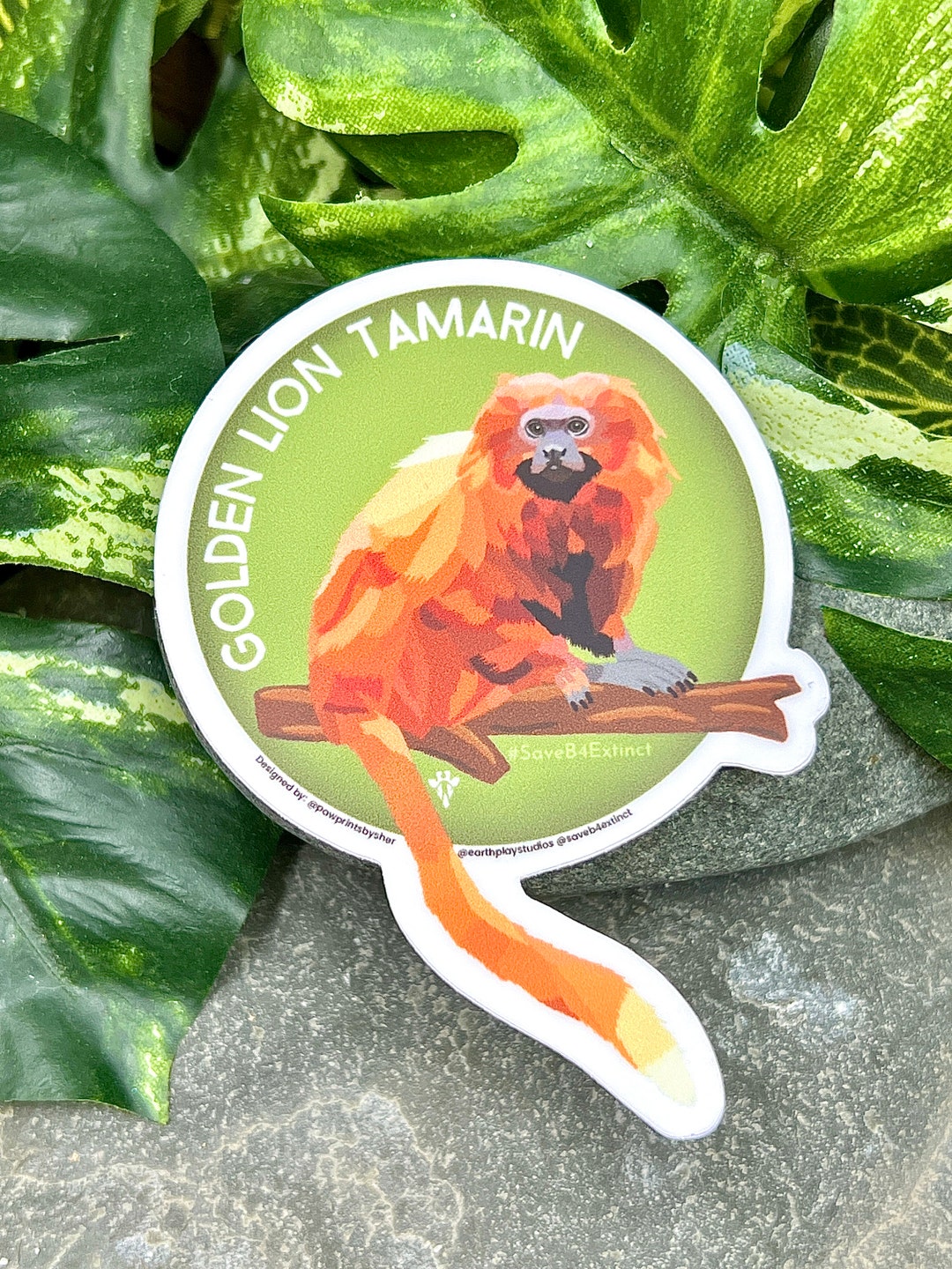 Golden Lion Tamarin Sticker / Animal Conservation Sticker / Save the ...
