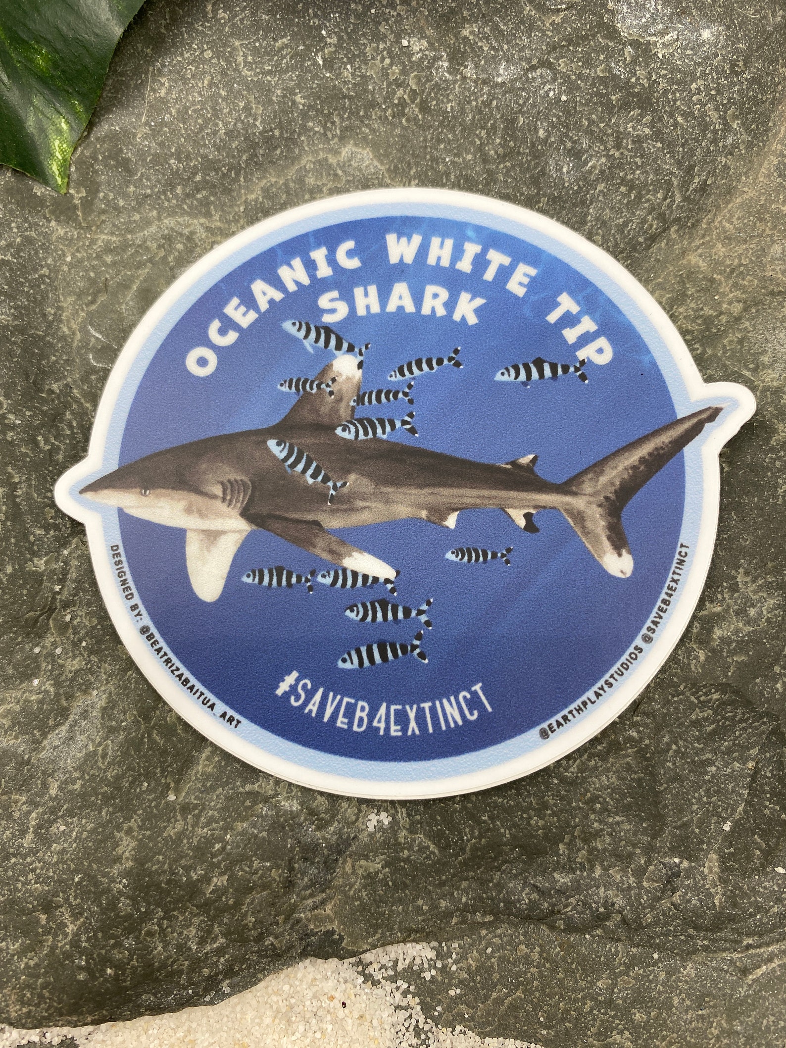 Oceanic White Tip Hai Sticker / Animal Conservation Sticker / | Etsy