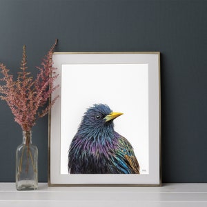 European Starling Bird Print 8x10 of Watercolor Painting 8" by 10" - Etsy