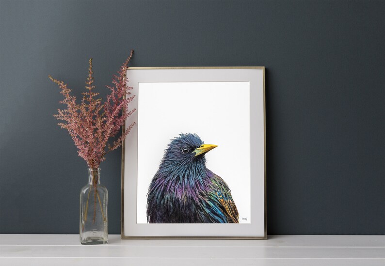 European Starling Bird Print 8x10 of Watercolor Painting 8" by 10" - Etsy