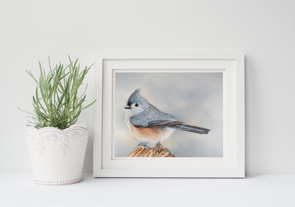 Tufted Titmouse Bird Print 8x10 of Watercolor Painting 8" by 10" - Etsy