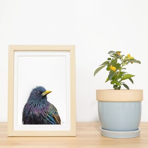 Starling Bird Print 5x7 of Watercolor Painting 5" by 7" - Etsy