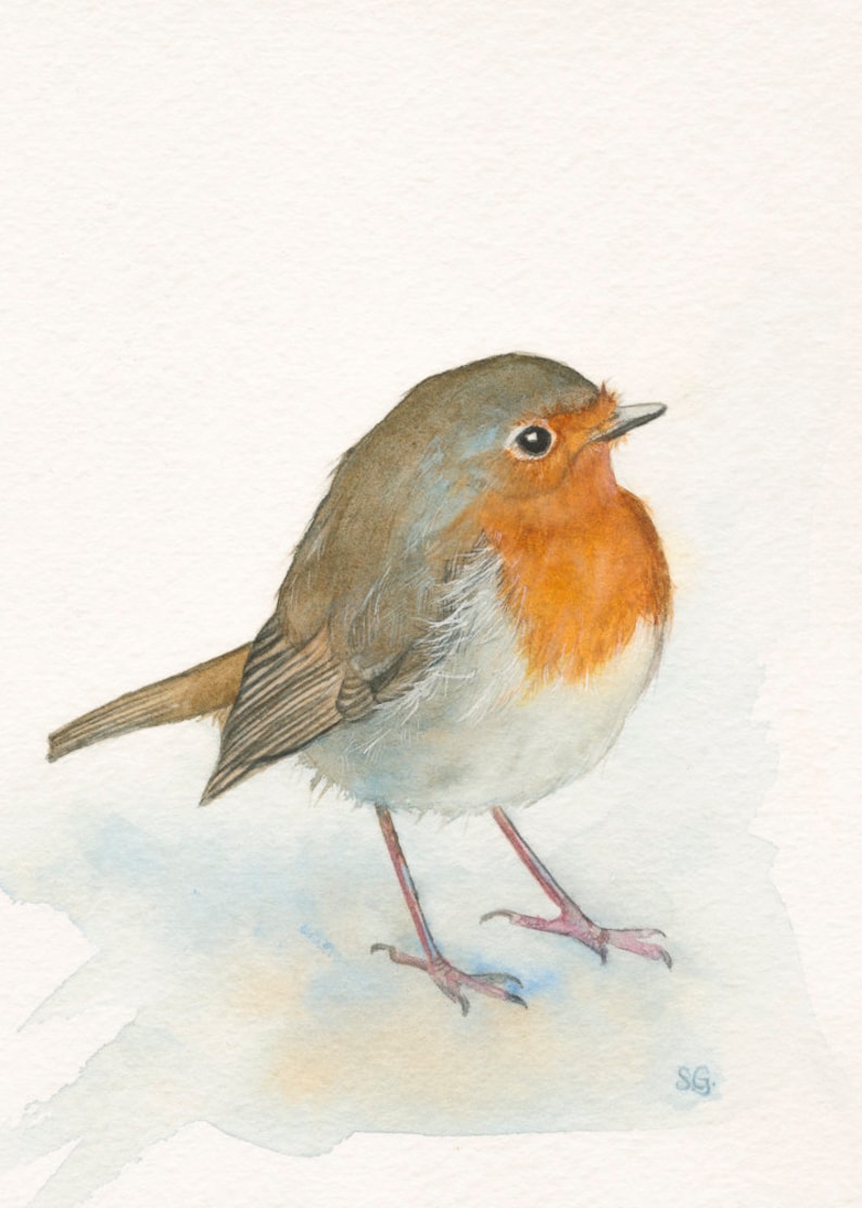 English Robin Print 5x7 of Watercolor Painting - Etsy