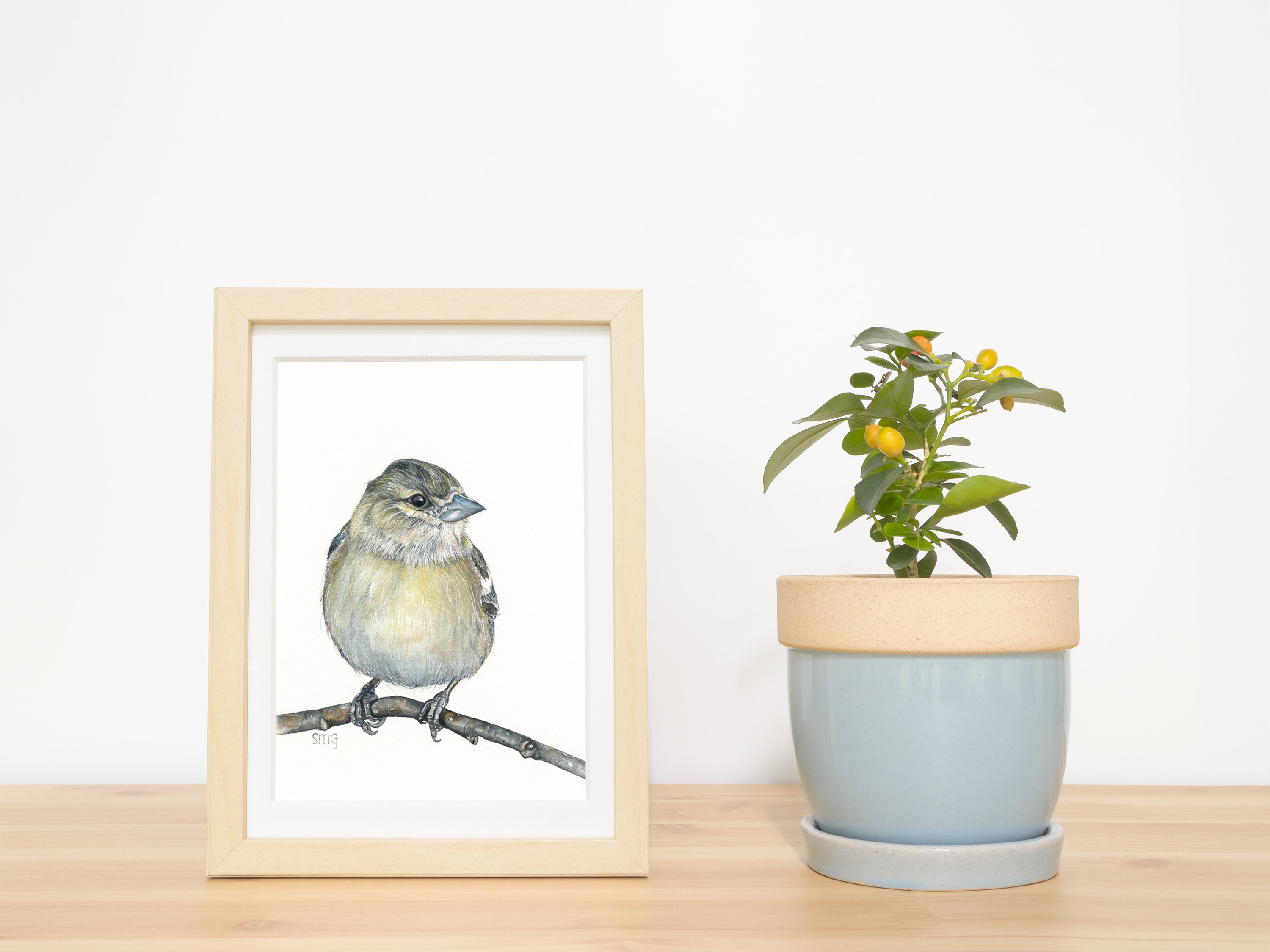 Finch Bird Original Watercolor Art Print by Shirley - Etsy