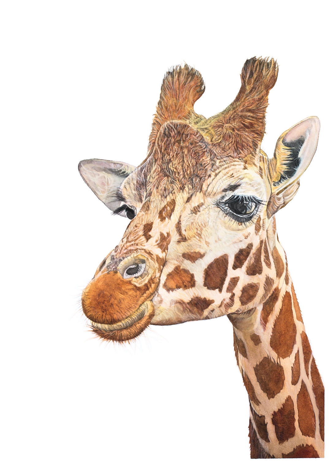Giraffe Print 5x7 of Watercolor Painting 5" by 7" - Etsy