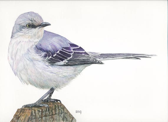 Northern Mockingbird Print 5x7 of Watercolor Painting 5 | Etsy