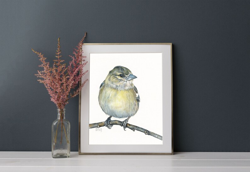 Finch Bird Original Watercolor Art Print 8x10 by Shirley Greenville ...