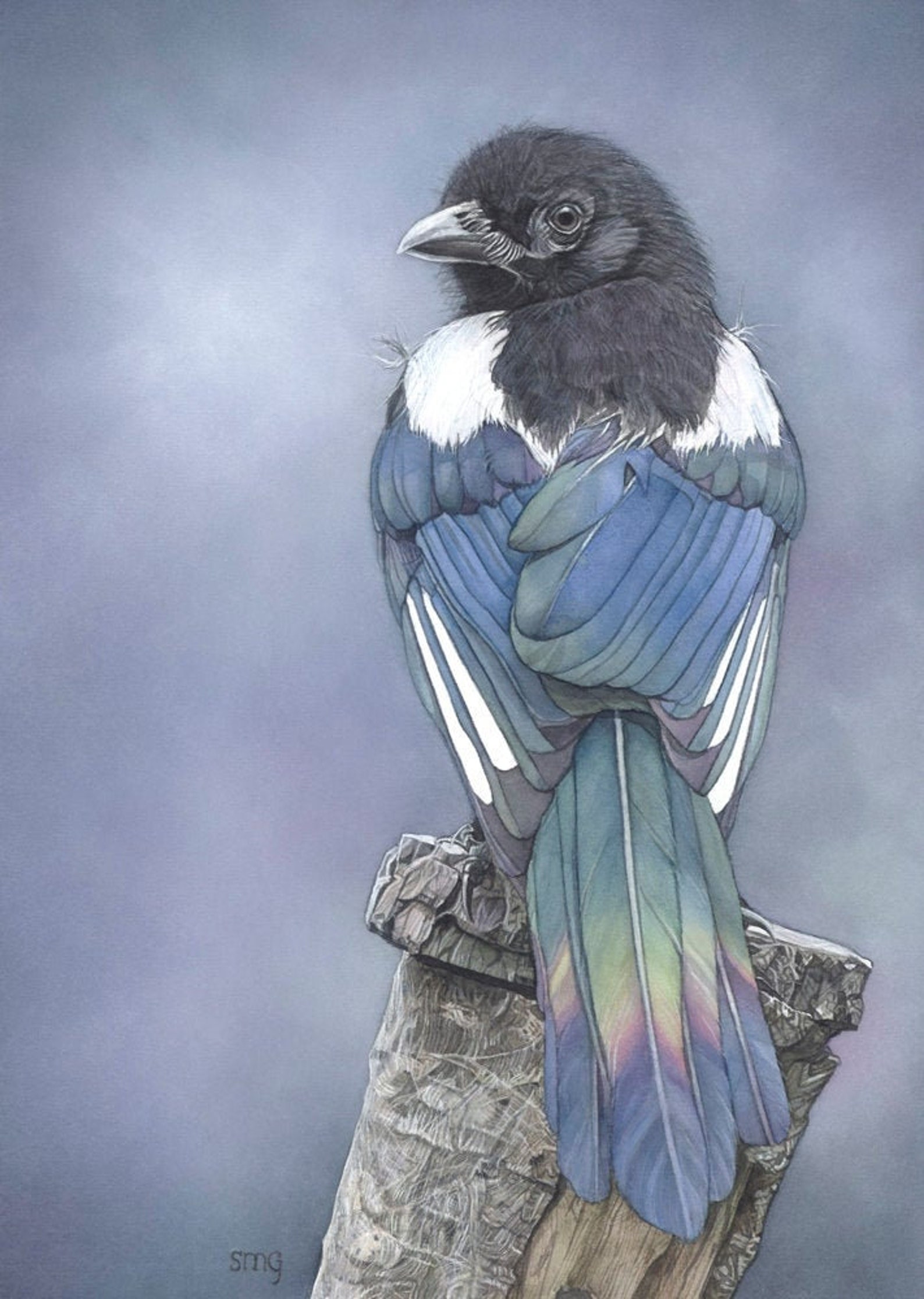 Magpie Watercolor Bird Print 5x7 of Watercolor Painting - Etsy UK