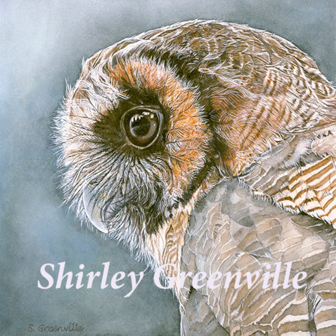 Owl Original Watercolor Print - Etsy